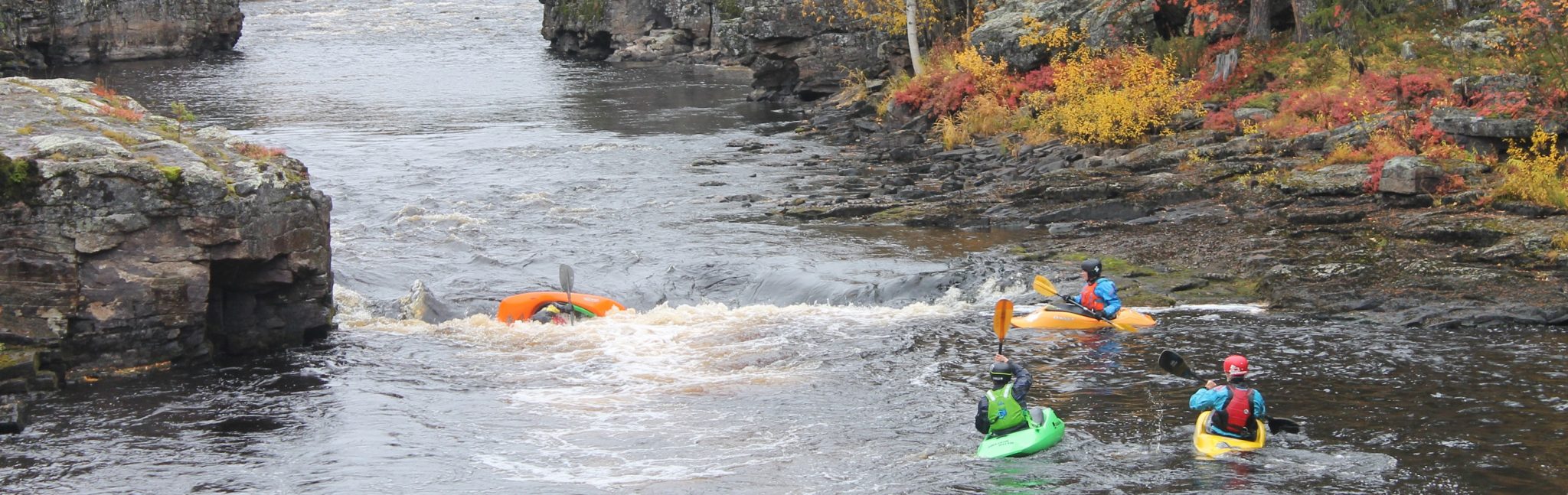 Introduction to nature-based tourism products - PAN - Phenomena of ...