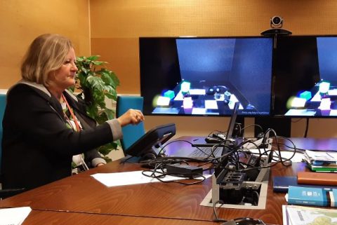 Development of an ultrahaptic experience of the World Heritage Struve ...